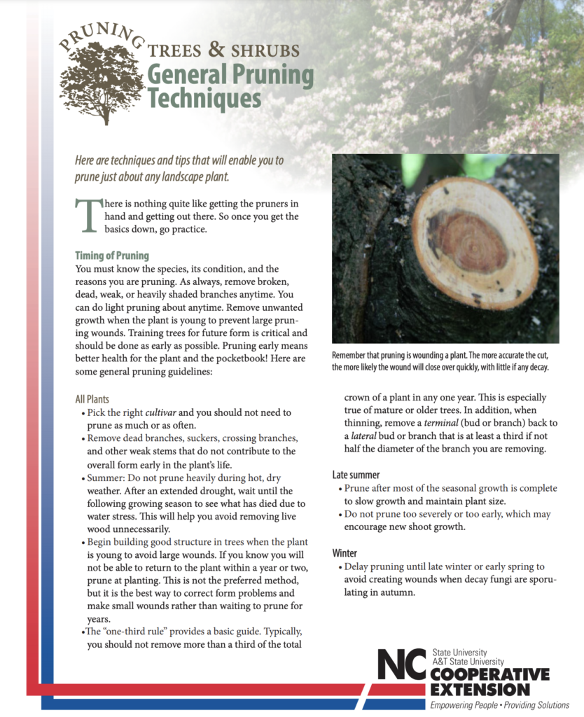 Pruning for a Single Leader | N.C. Cooperative Extension